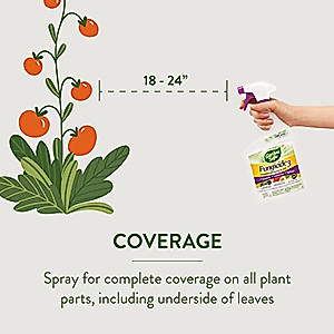 Garden Safe 32 oz. Fungicide Ready to Use