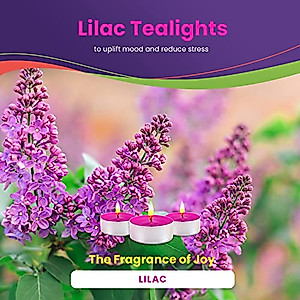 Lilac Candle Scented Candles Tea Lights Candles - Lilac Candle - 30 Pack - Lilac Candle Tea Lights with 3-4 Hour Burn Time Tea Candles - TeaLight Candles for Holiday, Wedding and Home