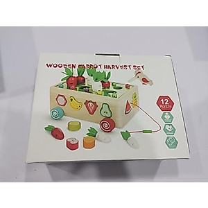 Bravmate Toddlers Montessori Educational Toys for Kids Age 2 3 4 Years Old, Shape Sorting Toys for Boys Girls 2-4, Wood Preschool Learning Fine Motor Skills Game