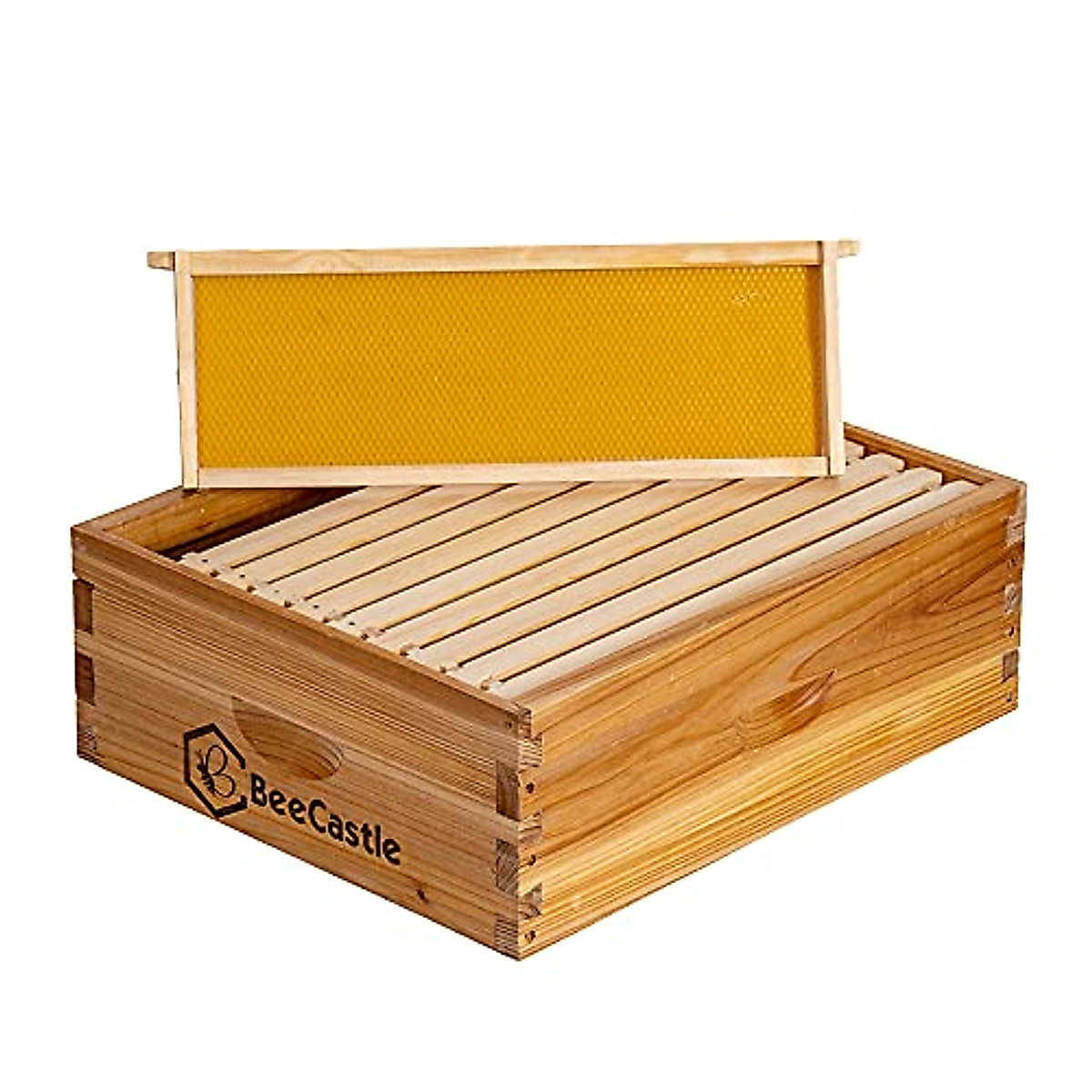 BeeCastle 10 Frame Medium Super Bee Hive Box, Langstroth Honey Bee Hive Dipped in 100% Beeswax Include Beehive Frames and Wax Foundations (Unassembled)
