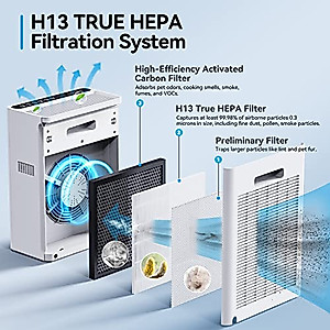 Tailulu H13 True HEPA Machine for Home Large Room up to 1614 Ft², Helpful for Dust Smoke Pollen Allergies Pets Hair Dander, Ozone Free, White