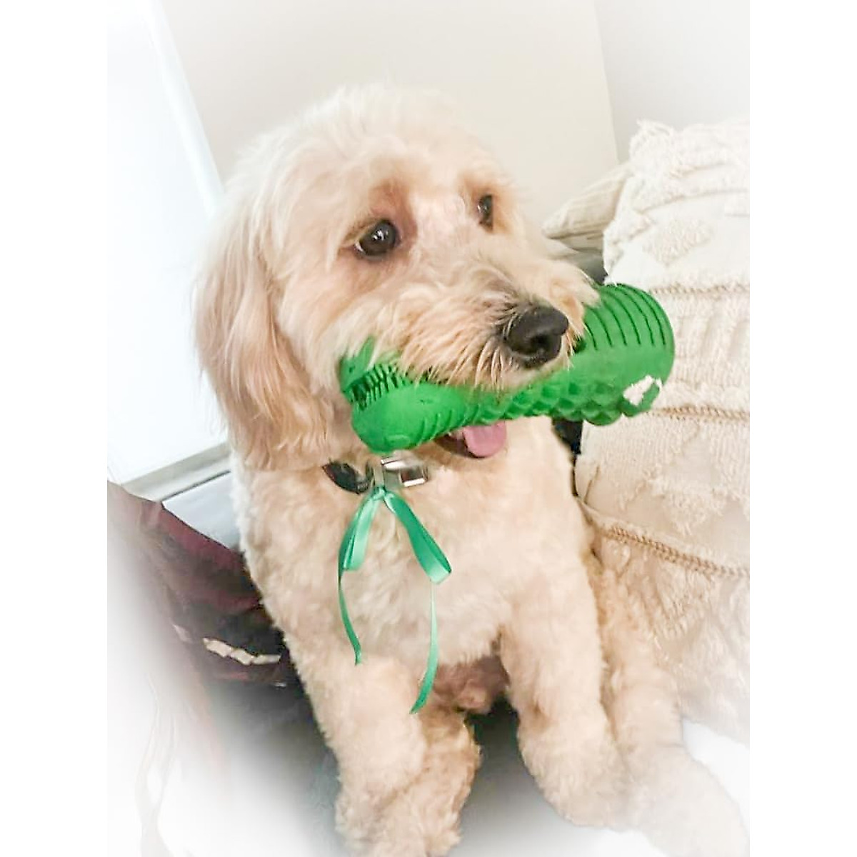 SINCREX USA Dog Toothbrush Dental Chew Crocodile Dog Toy, Teeth Cleaning, Teething Aid, The Best Indestructible Dog Toy for Aggressive Chewers, Dog Chew Toy for Medium to Large Dogs (Green)