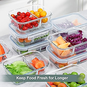 BAYZZ 10 Packs 30 oz Glass Meal Prep Containers 2 Compartment, Glass Food Storage Containers with Lids, Airtight Glass Lunch Bento Box, Freezer,Dishwasher and Microwave Safe