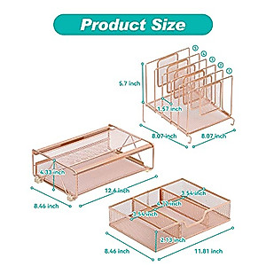 Beiz Rose Gold Desk Organizer and Accessories Storage with 5 Stacking File Folder Sorter, Paper Tray, Drawer, 60 Colorful Clips Set (Included), Desktop Organization for Women Office
