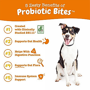 Probiotic Bites Soft Chews, Digestive Probiotics for Gut Flora & Immune Support for Dogs, Pumpkin Flavor 60 Count