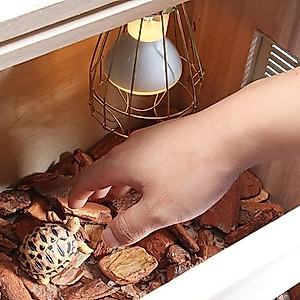 balacoo Ceramic Heat Emitter Bulb Guard Anti Scalding Reptile Heat Lamp Cover Reptile Heat Lamp Mesh Cover