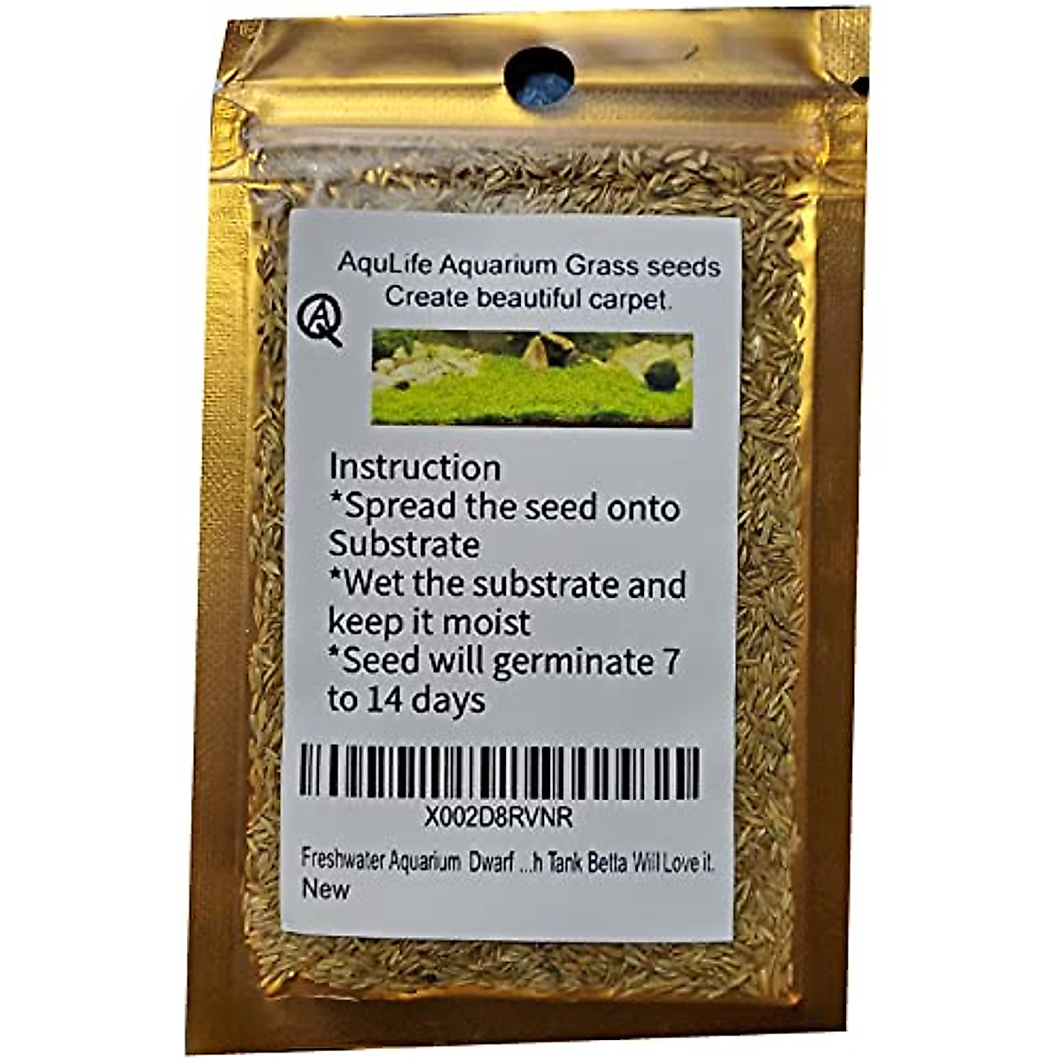 Freshwater Aquarium Dwarf Hairgrass Seeds Foreground or Carpeting in Planted Fish Tank Betta Will Love it.
