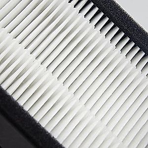 Filterhualv 2 Pack FLT4825 True HEPA Filter B Replacement Filter Compatible with Guardian Air Purifier AC4825, AC4300, AC4900, AC4850, AC4825DLX, CDAP4500, AP2200,FLT4825