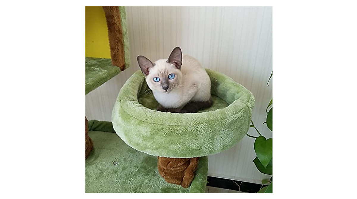 DHDM Cat Climbing Frame for Active Play