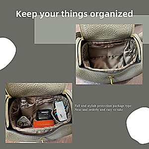 DGAZ Purse Organizer Insert，Silk Bag Organizer，Luxury Handbag & Tote Shaper Fits Lindy 19/26/30/34 Bags（Etoupe grey，LD26）