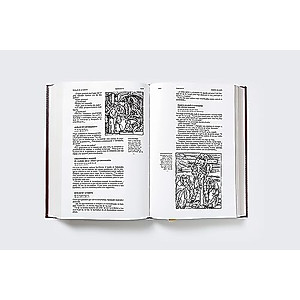 Biblia Católica, Ilustrada, Piel genuina, Café, Comfort Print (Spanish Edition)