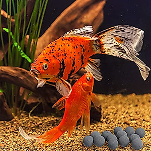 Lystaii 120pcs Tourmaline Balls for Betta Aquarium Tank Balls Mineral Calcium Mineral Balls for Freshwater Aquarium Tank Shrimp Crayfish Water Conditioner Aquatic Décor Tank Accessories