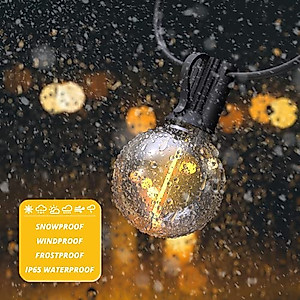 Sunnyload 31FT Outdoor String Lights Waterproof, 110 Volts Outdoor Decorations for Patio, Yard, Garden, Porch, Backyard,Heavy-Duty Decorative Cafe Hanging Lights,with 15 LED Shatterproof Bulbs