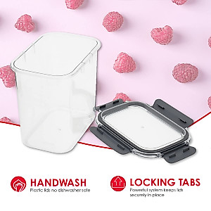 Home Basics Airtight Food Container | Powerful Air Tight Locking System | Rounded Corner | Sturdy Plastic and Silicone | Great for Liquids | Great for Lunches and Leftovers | (100 oz)