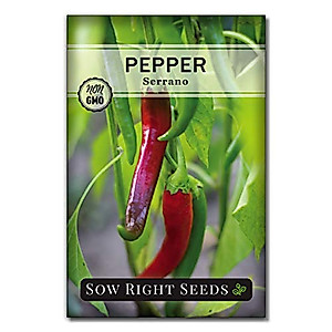 Sow Right Seeds - Serrano Hot Pepper Seed for Planting - Non-GMO Heirloom Packet Instructions to Plant an Outdoor Home Vegetable Garden - Productive and Hot Chili Peppers - Hydroponics Growing(1)
