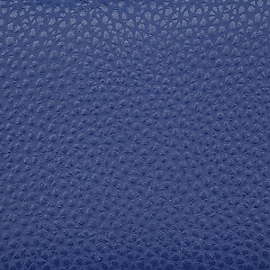 Fox Valley Traders RFID Zip Around Wallet, Blue