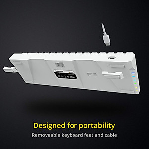 DREVO Calibur V2 TE Cherry MX Blue RGB 60% Wired Mechanical Gaming Keyboard Work for PC/Mac, 71-Key Small Compact US Layout White