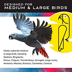 Featherland Paradise | Foraging Ball with Bell Interactive Bird Toy and Treat Dispenser | Creative Foraging Systems | Ideal for Medium to Large Birds