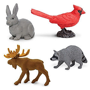 Safari Ltd. Nature TOOB - 12 Mini Figurines with Rabbit, Beaver, Doe, Gray Wolf, Fox, Black Bear, Moose, Mountain Lion, Bald Eagle, and More - Educational Toy for Boys, Girls & Kids Ages 3+