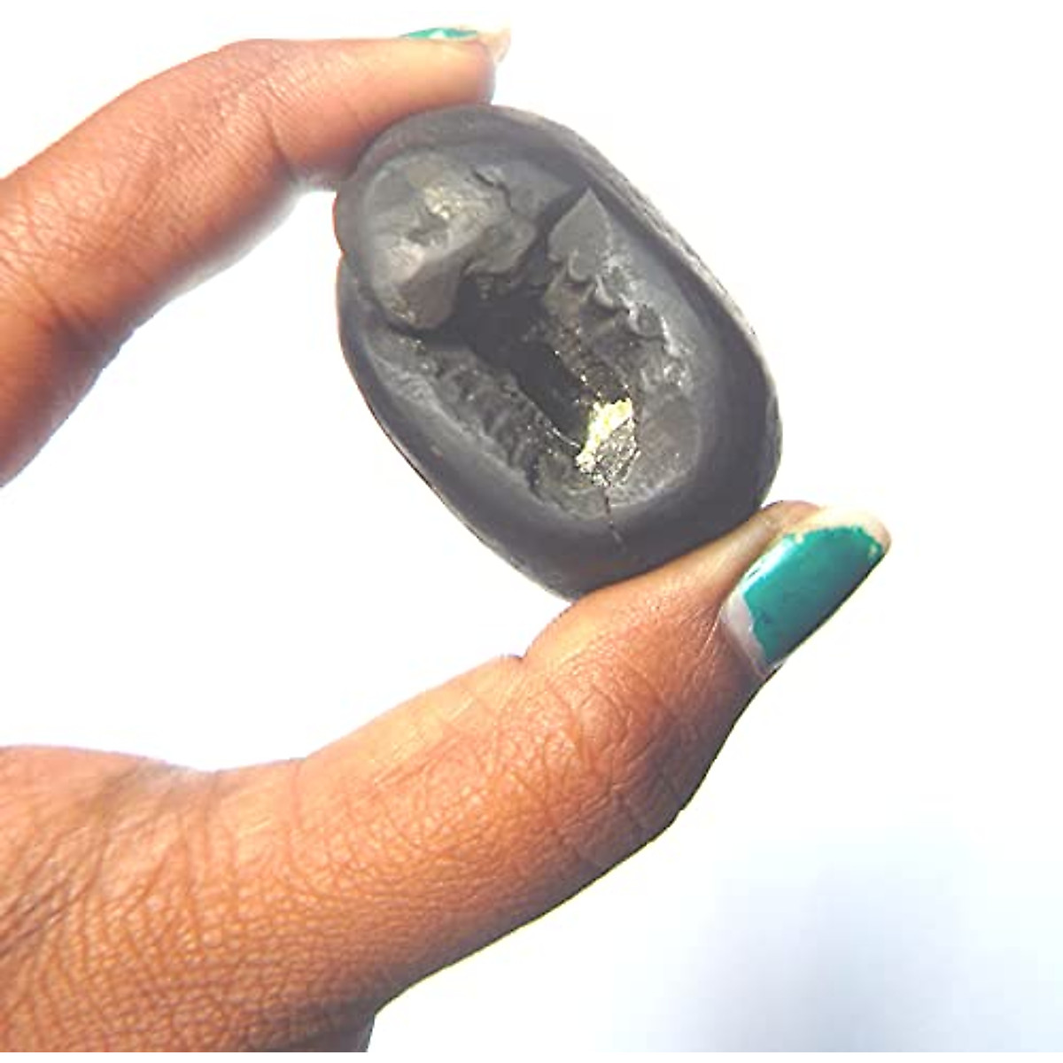 XUETZALCOATL Adwaitya Krishna Pradyumn Anirudh Maha Vishnu Shaligram Nepal Kali Gandaki