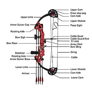 PANDARUS Compound Bow Archery for Youth and Beginner, Right Handed,19”-28” Draw Length,15-29 Lbs Draw Weight, 260 fps (Black Right Handed)