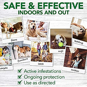 Vet's Best Flea and Tick Home Spray | Flea Treatment for Dogs and Home | Plant-Based Formula | 32 Ounces, 2 Pack