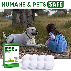 8 Pack Rodent Repellent Peppermint Oil to Repels Mice and Rats and Other Rodents, Mouse Repellent for Car Engines to Keep Mice Out, Rat Repellent for Home Farm Basements Barns Sheds Garages RV Trucks
