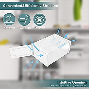 WAYTRIM Shoe Boxes, Clear Plastic Shoe Boxes with Lids Stackable Shoe Storage for Boots Shoe Organizer for Closet Shoe Container Fit to Women Size 13