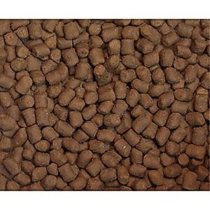 Wysong Ferret Epigen 90 - Starch Free Dry Natural Food for Ferrets, Brown, Model Number: WDFE905