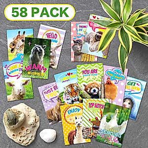 Funny Animal Postcards 58 Pack Unique Greeting Cards Thinking of You Missing You Note Cards 4x6 Postcards Gifts for Kids, Students, Friends, Teacher Adorable Kid Postcards