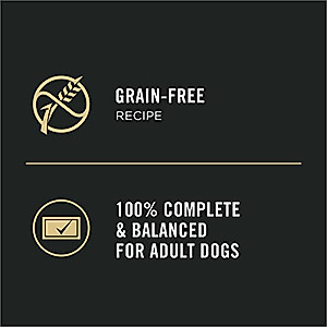 Purina Pro Plan Wet Dog Food for Small Dogs Adult Small Breed Turkey Entree High Protein Dog Food - (12) 3.5 oz. Trays