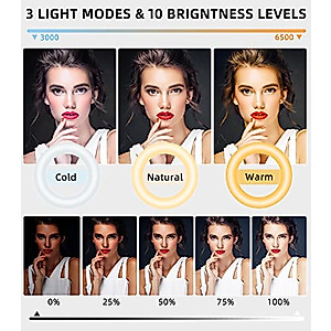 Ring Light with Stand and Phone/Ipad Holder, 10.5'' Desk Zoom Lighting for Computer, Laptop Light for Video Conferencing, Zoom Meetings, Live Streaming, Makeup, Video Calls, Vlog, YouTube, TikTok