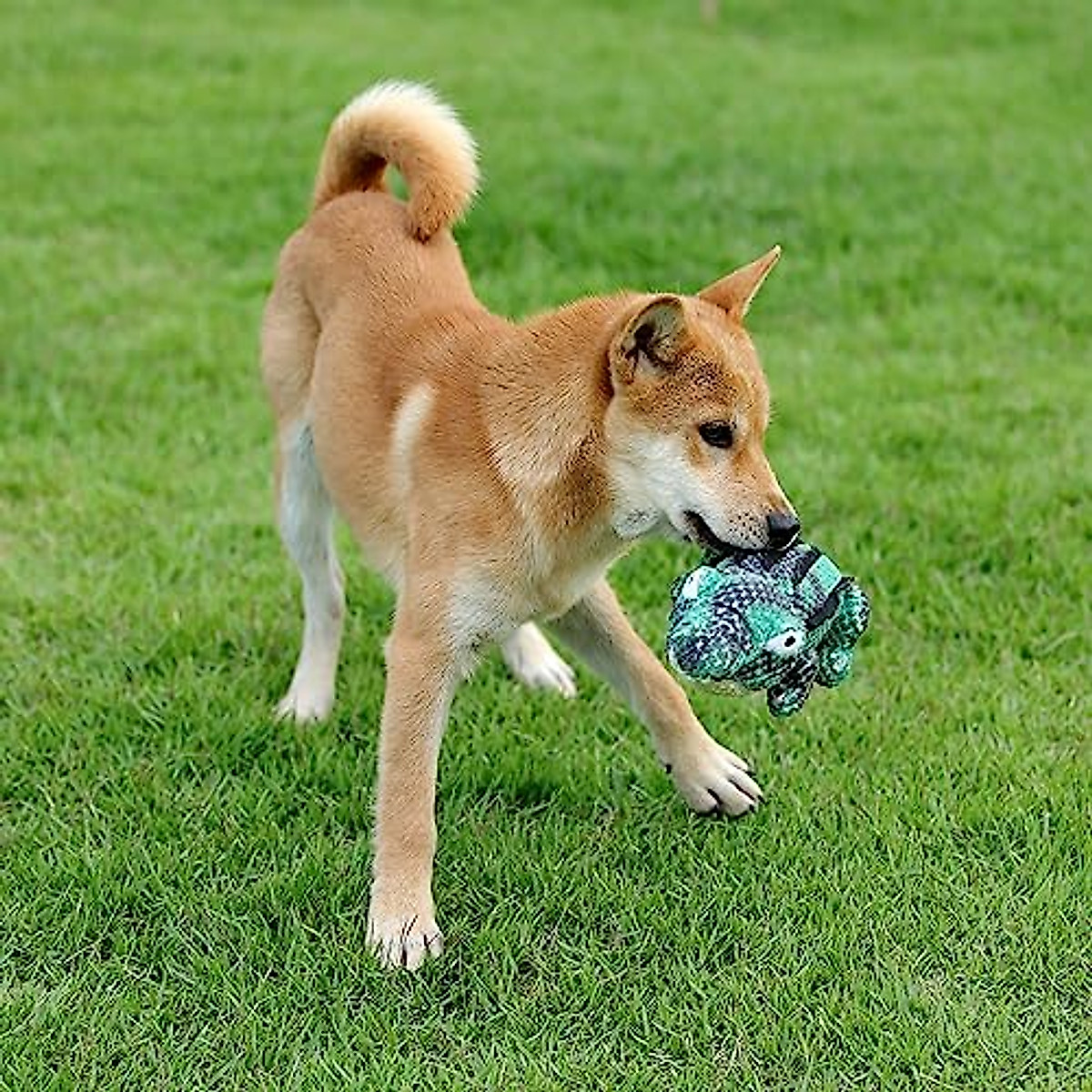 Tikaton Dog Plush Toys - Squeaky Puppy Chew Toy for Teething, Training, Boredom and Stimulating, Perfect Durable Present for Small Medium Large Breeds with Cute Crocodile Shape
