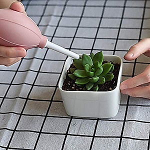 KALIM 16Pcs Succulent Plant Tools, Mini Planting/Transplanting Gardening Tool Set for Indoor Miniature Garden Plant Care(Pink)