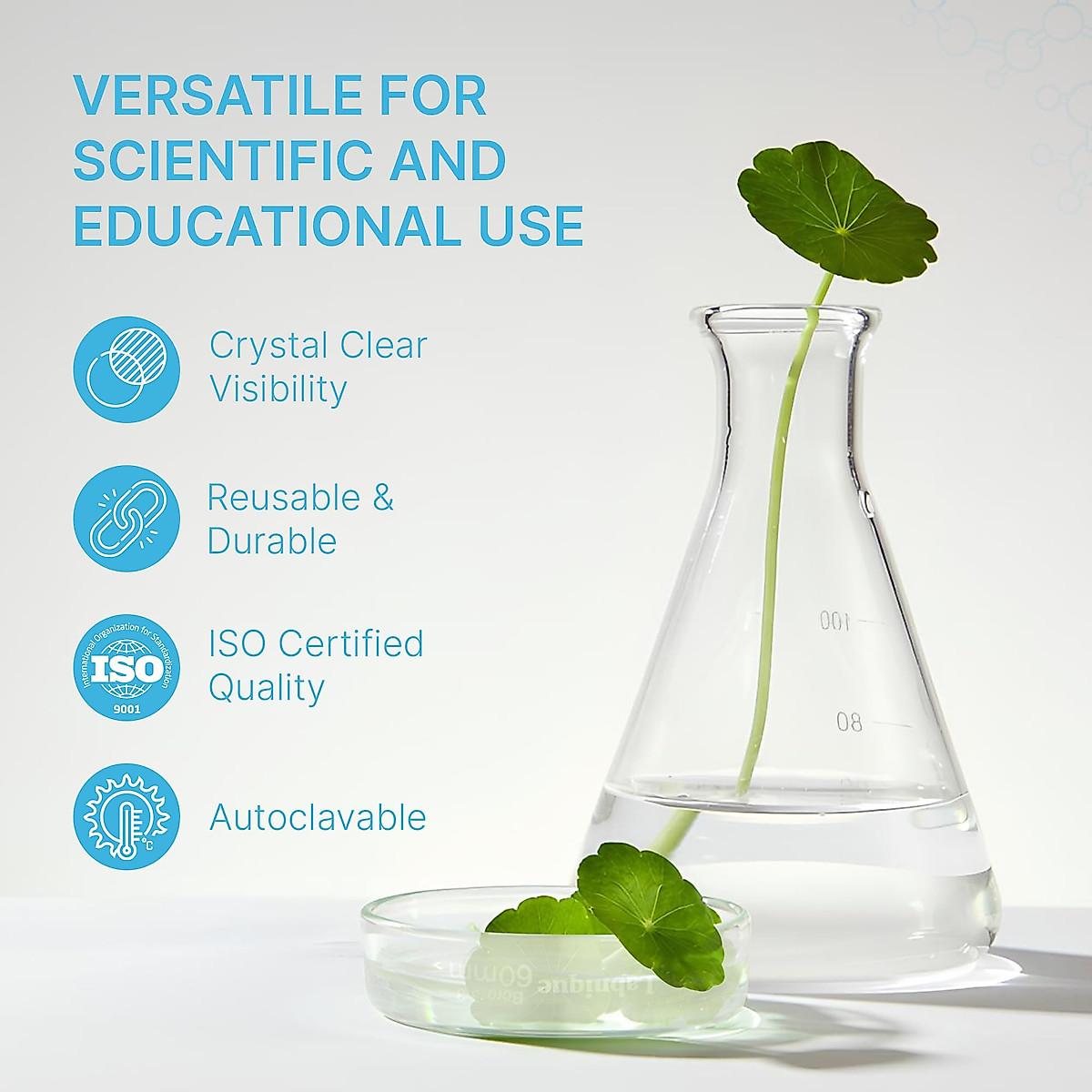 Microyn Borosilicate Glass Petri Dish with Lid, Tissue Culture Dish (90 mm, Pack of 10)