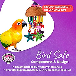 Super Bird Creations SB896 Seeing Stars Bird Toy, Small/Medium Bird Size, 9.5" x 3.5"