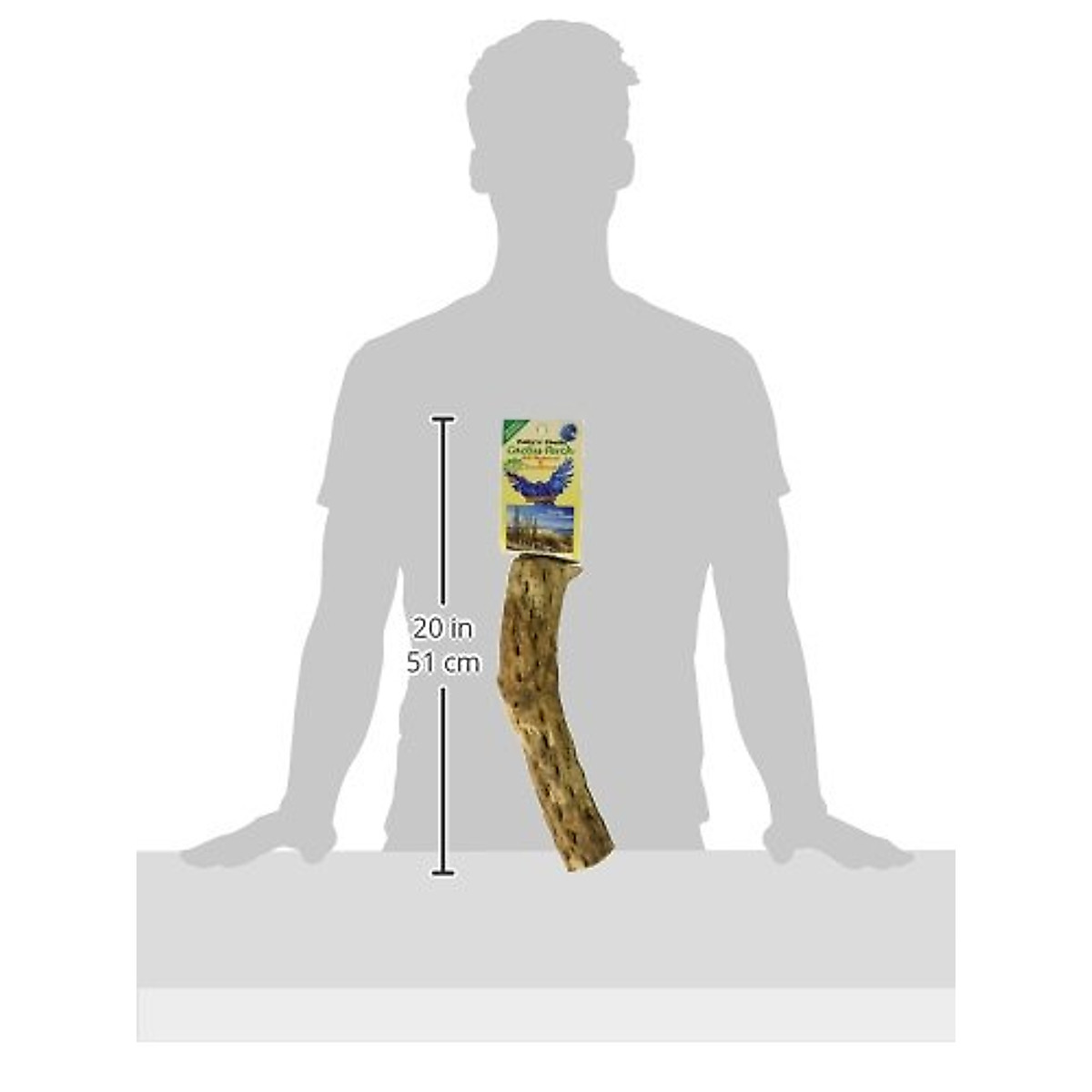 Polly's Cholla Cactus Bird Perch, Large