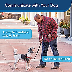 PetSafe Collarless Remote Trainer - Handheld Ultrasonic & Tone Dog Training - Correct Behavior such as Barking, Digging, Jumping - Similar to an Electronic Dog Whistle, No Collar Required