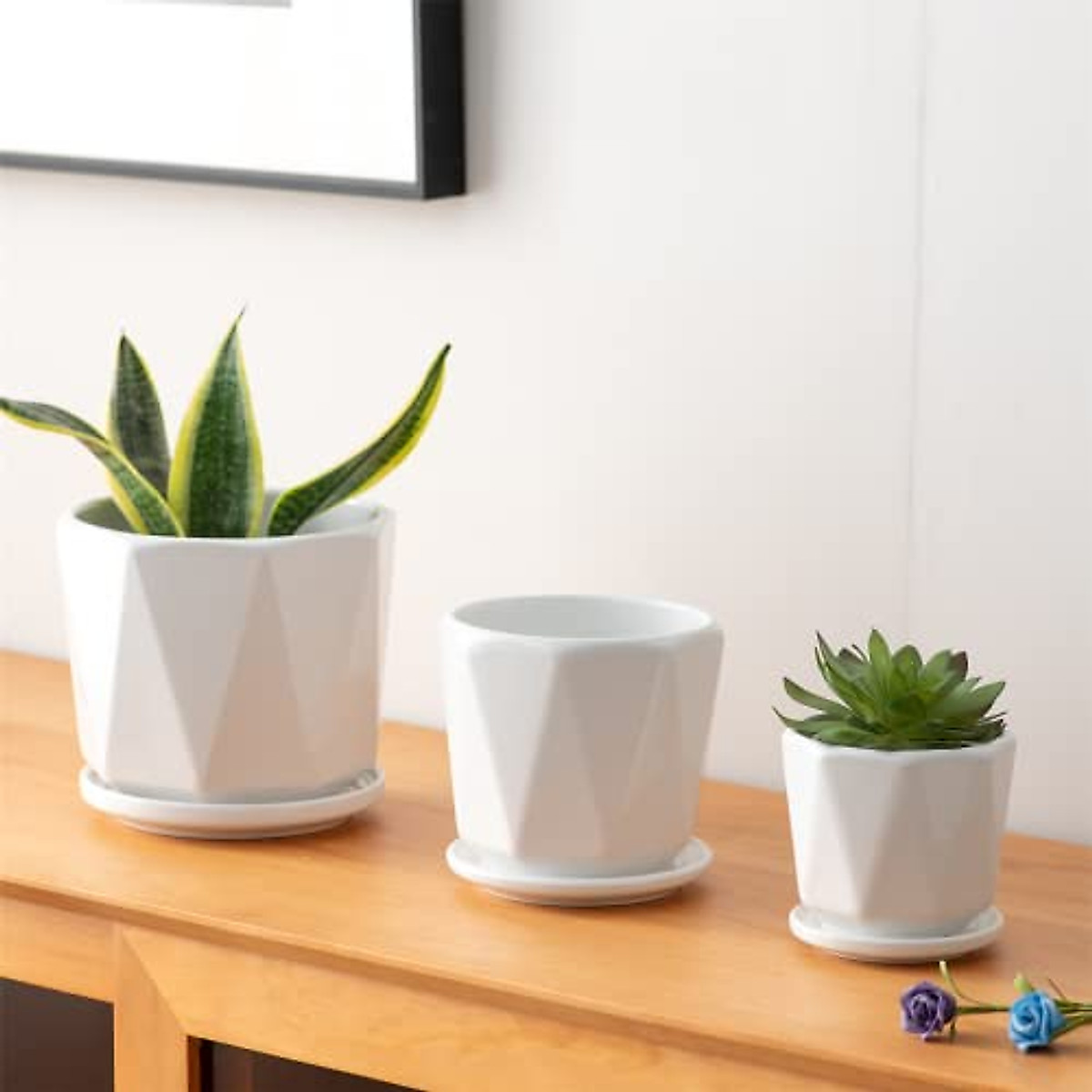 Modern Octagon Ceramic Plant Pots Set - Stylish Indoor & Outdoor Planters