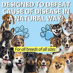 Kennel Cough Treatment for Dogs, Kennel Cough Herbal Drops, Dog Cough Relief - Dog Seasonal Allergy Relief, Dog Itch Relief, Support Dog Cough Care About Dry, Pet Cough Relief - 2.02 Fl.oz / 60 ml