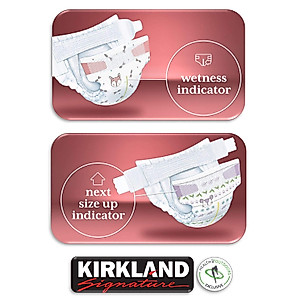 Kirkland Signature Diapers Size 2 (12lbs - 18 lbs) 174 Count W/ Exclusive Health and Outdoors Wipes