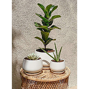LE TAUCI Ceramic Plant Pots, 4.1+5.1+6.5 inch, Set of 3, Planters with Drainage Hole and Saucer, Indoor Flower Pot with Hole Mesh Pad, Gifts for Mom, White
