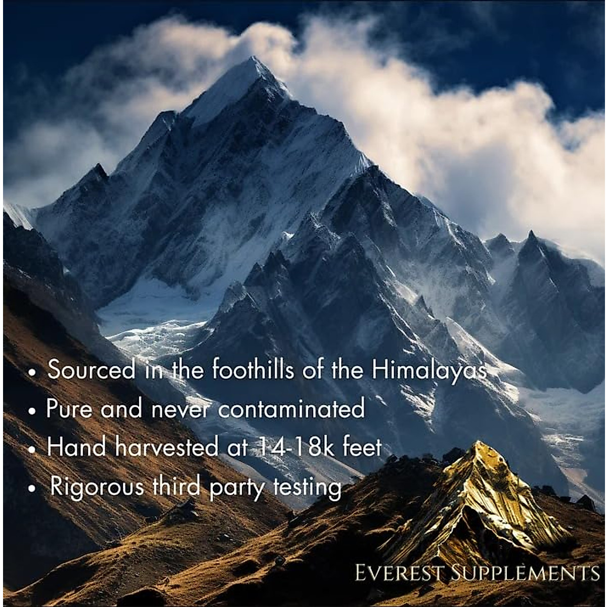 Pure Himalayan Organic Shilajit Resin - Gold Grade 500 mg Maximum Potency Natural Shilajit Resin with 85 Trace Minerals & Fulvic and Humic Acid for Energy Immune Support, 30 Grams