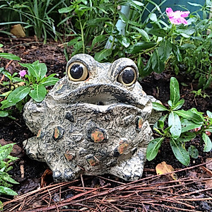 Toad Hollow Croaking Cromwell The Motion Activated Frog