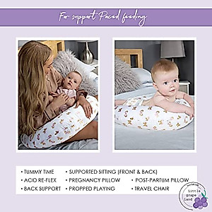 Little Grape Land Nursing Pillow, Breast Feeding Pillows for Mom, Butterfly Soft Cover with Breathable Filling, Feeding Support Pillow for 0-12 Months, Multifunctional Support Cushion for Travel