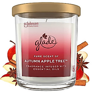 Glade Candle Jar, Large Candle Infused with Essential Oils, Air Freshener for Home Decor, Autumn Apple Tree, 16oz
