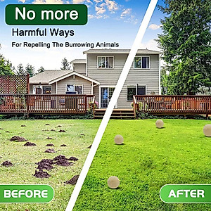 ANEWNICE Mole Repellent,Vole Repellent Outdoor,Natural Gopher Repellent,Mole Deterrent for Lawn,Get Rid of Moles in Your Yard, Outdoor Groundhog&Mole Control, Wofimeha Safe Around Pet & Plant (8 Pack)