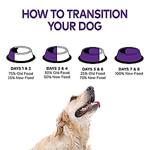 Wellness Complete Health Large Breed Dry Dog Food with Grains, Natural Ingredients, Made in USA with Real Meat (Adult, Chicken & Rice, 15-Pound Bag)