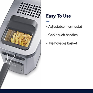DeLonghi Livenza Deep Fryer, Silver - 1-Gallon Oil Capacity - EasyClean System - Adjustable Thermostat - Cool Touch Handles - Dishwasher Safe