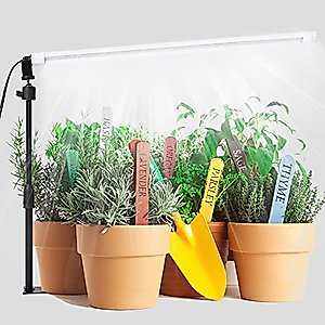 JCBritw Desktop LED Grow Light Bar T8 2ft Plant Growing Lamp on Stand for Indoor Plants White Full Spectrum Adjustable Tabletop Plant Light for Seed Starting, Seedlings, Veg, Flower